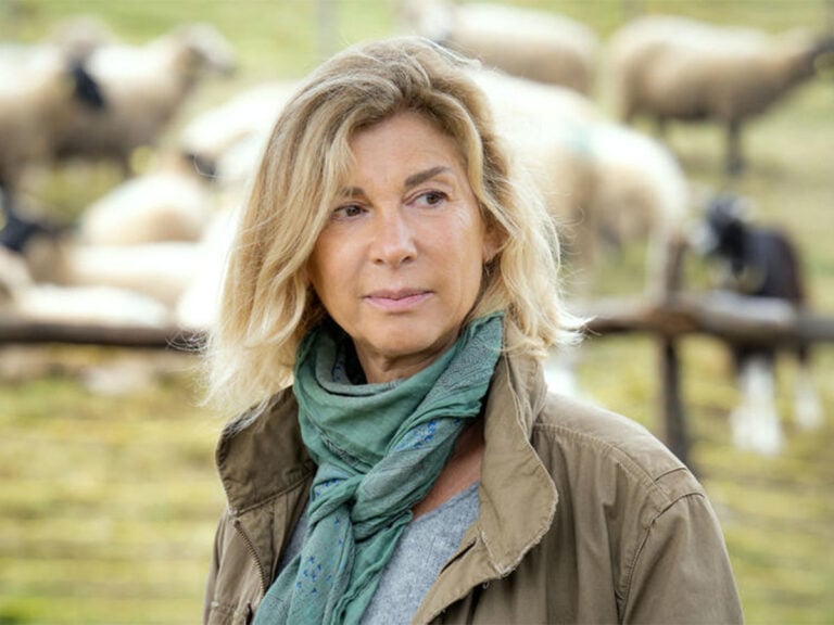 Dessins animés en replay sur TF1+ | Télé 7 Jours