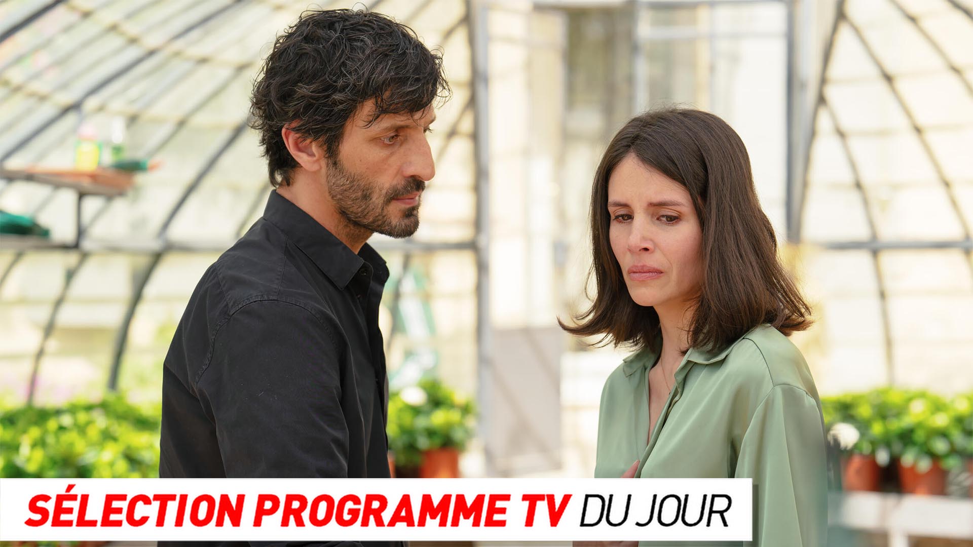 Programme TV : Tout cela je te le donnerai, François Damien : 20 ans de ...