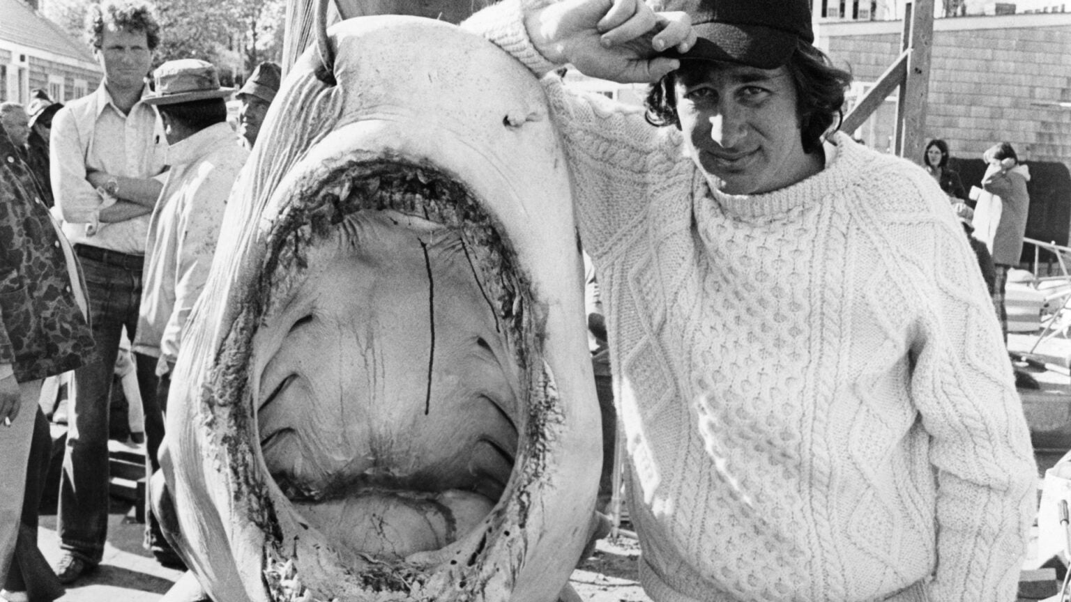 Les Dents de la mer, un succès monstre (Arte) : De 3 à 12 millions de ...